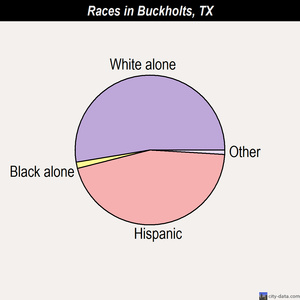 Buckholts, Texas (TX 76518) profile: population, maps, real estate ...
