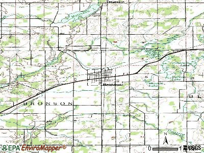 Bronson, Michigan (MI 49028) profile: population, maps, real estate ...