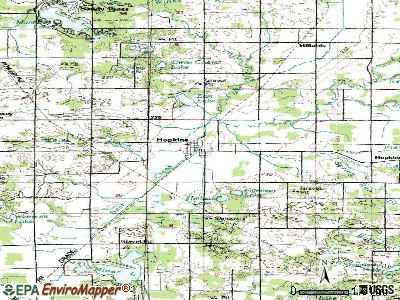 Hopkins, Michigan (MI 49328) profile: population, maps, real estate ...