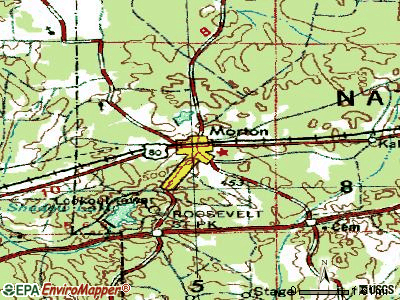 Morton, Mississippi (MS 39117) profile: population, maps, real estate ...