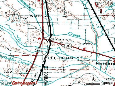 Shannon, Mississippi (MS 38868) profile: population, maps, real estate ...