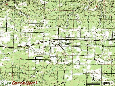 Birch Tree, Missouri (MO 65438) profile: population, maps, real estate ...