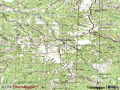 Reeds Spring, Missouri (MO 65737) profile: population, maps, real ...