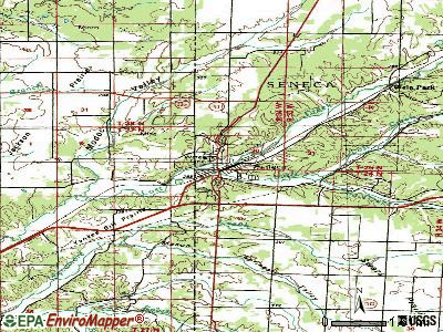 Seneca, Missouri (MO 64865) profile: population, maps, real estate ...