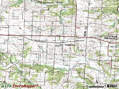 Smithton, Missouri (MO 65350) profile: population, maps, real estate ...
