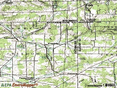 Freedom, New York (NY 14065) profile: population, maps, real estate ...