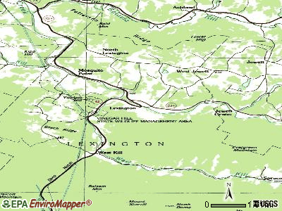 Lexington, New York (NY 12492) profile: population, maps, real estate ...