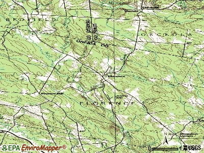 Florence, New York (NY 13316) profile: population, maps, real estate ...