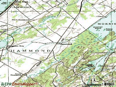 Hammond, New York (NY 13646) profile: population, maps, real estate ...
