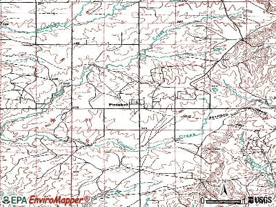 Foraker, Oklahoma (OK 74652) profile: population, maps, real estate ...