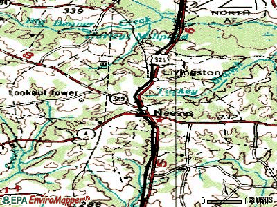 Neeses, South Carolina (SC 29107) profile: population, maps, real ...