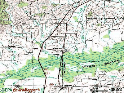 Obion, Tennessee (TN 38240, 38260) profile: population, maps, real ...