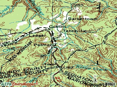 Palmer, Tennessee (TN 37365) profile: population, maps, real estate ...