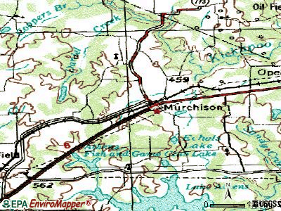 Murchison, Texas (TX 75778) profile: population, maps, real estate ...