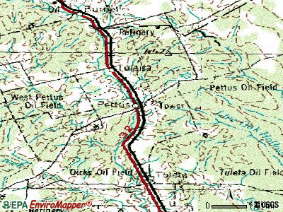 Pettus, Texas (TX 78146, 78162) profile: population, maps, real estate ...