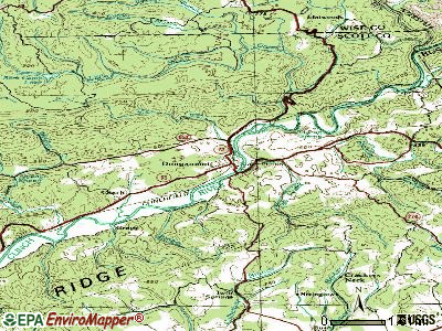 Dungannon, Virginia (VA 24245) profile: population, maps, real estate ...