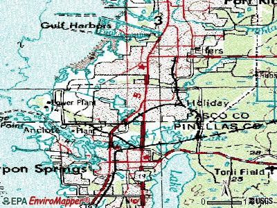 Holiday, Florida (FL 34691) profile: population, maps, real estate ...