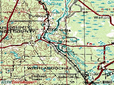 Nobleton, Florida (FL 34661) profile: population, maps, real estate ...
