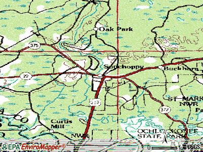 Sopchoppy, Florida (FL 32358) profile: population, maps, real estate ...