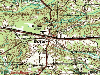Butler, Georgia (GA 31006) profile: population, maps, real estate ...