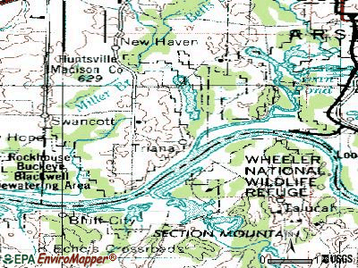 Triana, Alabama (AL 35756) profile: population, maps, real estate ...
