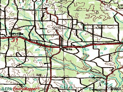 Pitts, Georgia (GA 31072) profile: population, maps, real estate ...