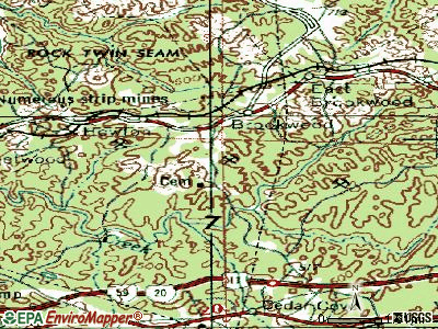 Brookwood, Alabama (AL) profile: population, maps, real estate ...