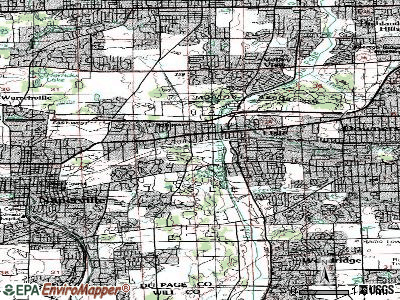 Lisle, Illinois (IL 60532, 60540) profile: population, maps, real ...