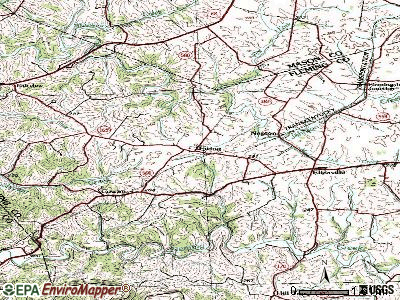 Ewing, Kentucky (KY 41039) profile: population, maps, real estate ...