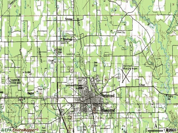 70401 Zip Code (Hammond, Louisiana) Profile - homes, apartments ...