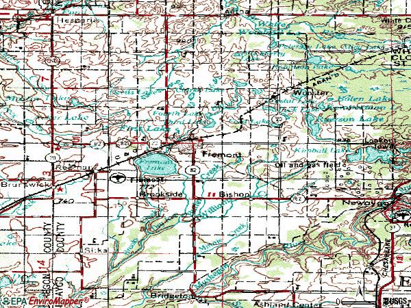 49412 Zip Code (Fremont, Michigan) Profile - homes, apartments, schools ...
