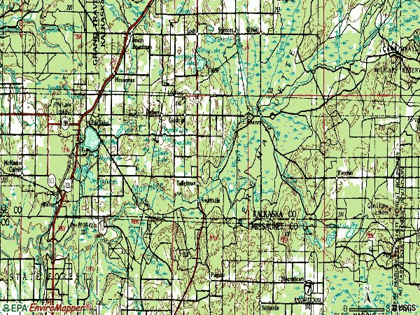 49633 Zip Code (Fife Lake, Michigan) Profile - homes, apartments ...