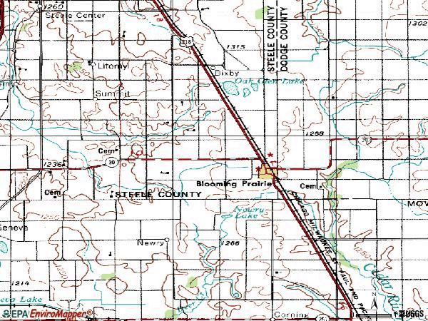 55917 Zip Code (Blooming Prairie, Minnesota) Profile - homes ...