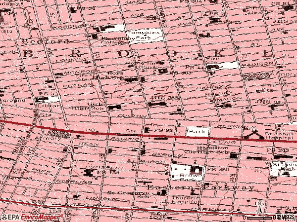 11216 Zip Code (New York, New York) Profile - homes, apartments ...