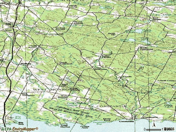 13167 Zip Code (Constantia, New York) Profile - homes, apartments ...