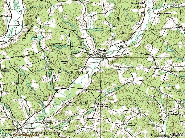 13808 Zip Code (Morris, New York) Profile - homes, apartments, schools ...