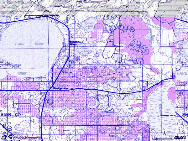 32195 Zip Code (Lady Lake, Florida) Profile - homes, apartments ...