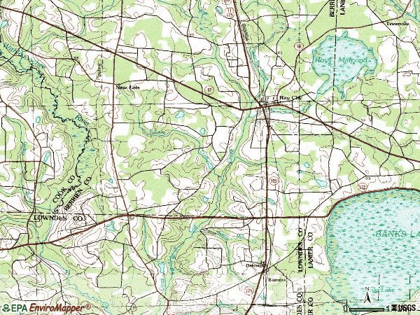 31645 Zip Code (Ray City, Georgia) Profile - homes, apartments, schools ...